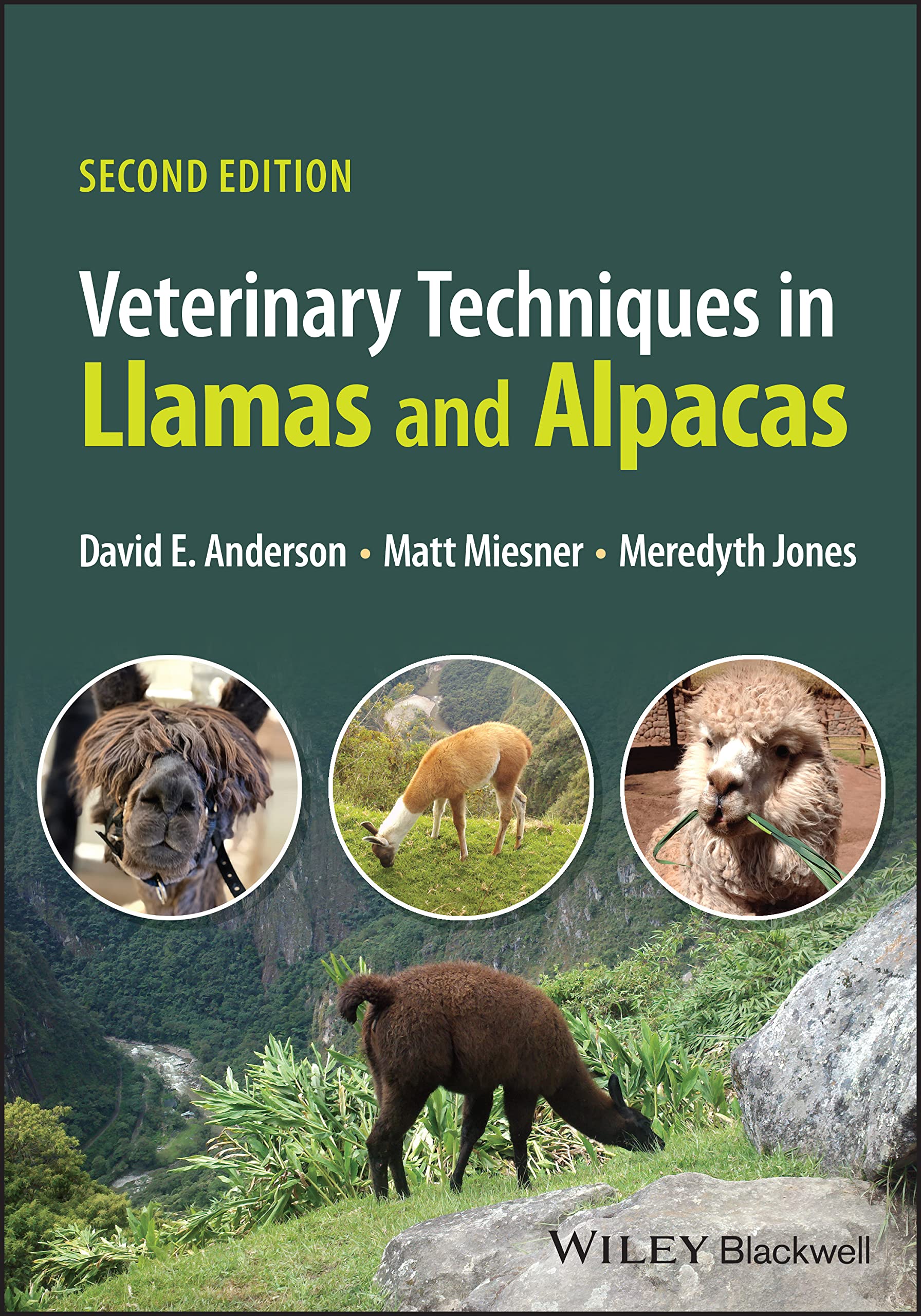 Veterinary Techniques in Llamas and Alpacas: 9781119860617: Medicine ...