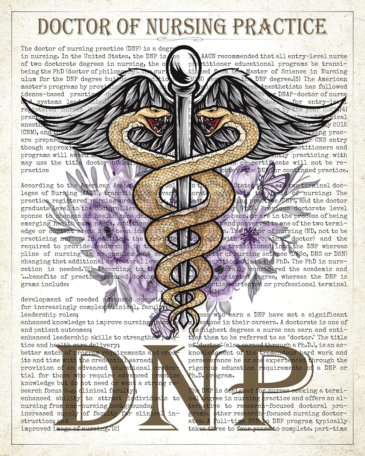 Amazon.com: DNP Graduation Gift,DNP Gift, Doctor of Nursing Practice ...