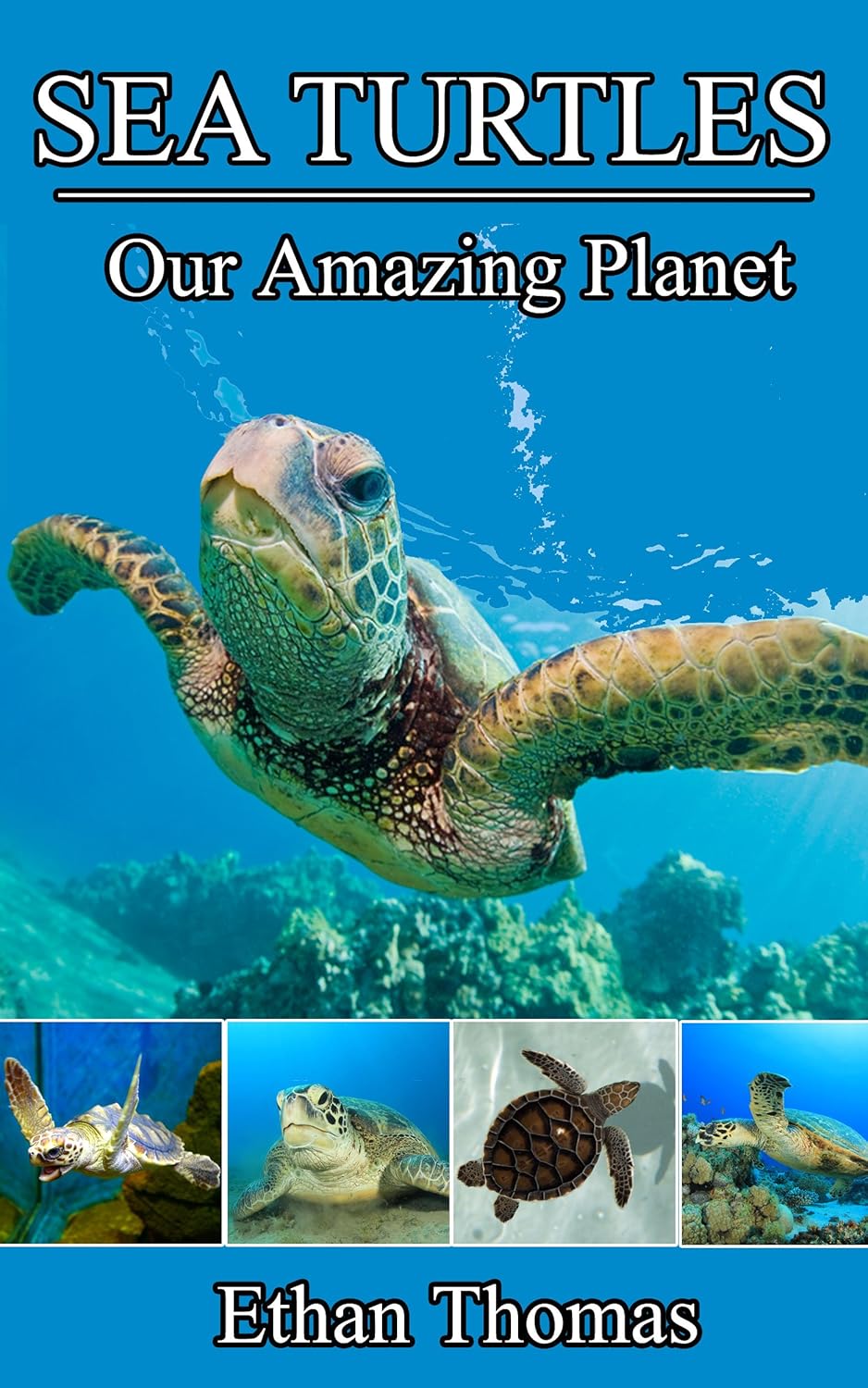 Sea Turtles! Sea Turtle Book for Kids - Fun Facts and Sensational Full ...