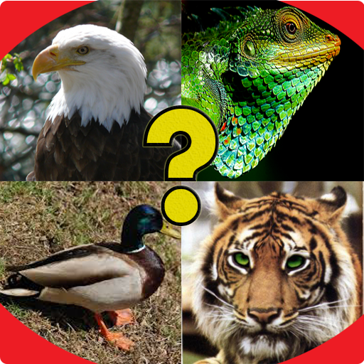 Guess Animal Names Quiz Game - App on the Amazon Appstore