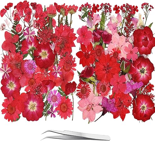 24 Types 81PCS Red Dried Pressed Flowers for Resin - Youthbro Real ...