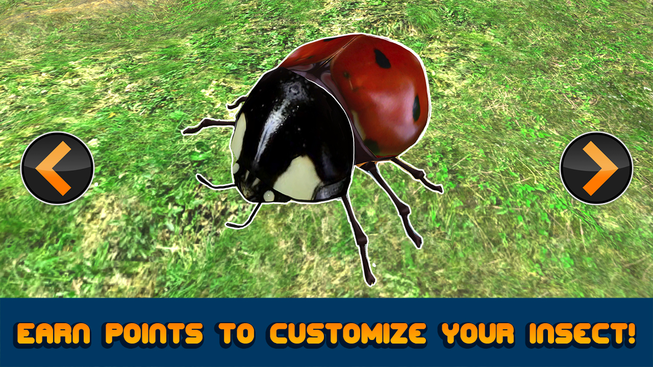 Red Ladybug Insect Simulator 3D:Amazon.com:Appstore for Android