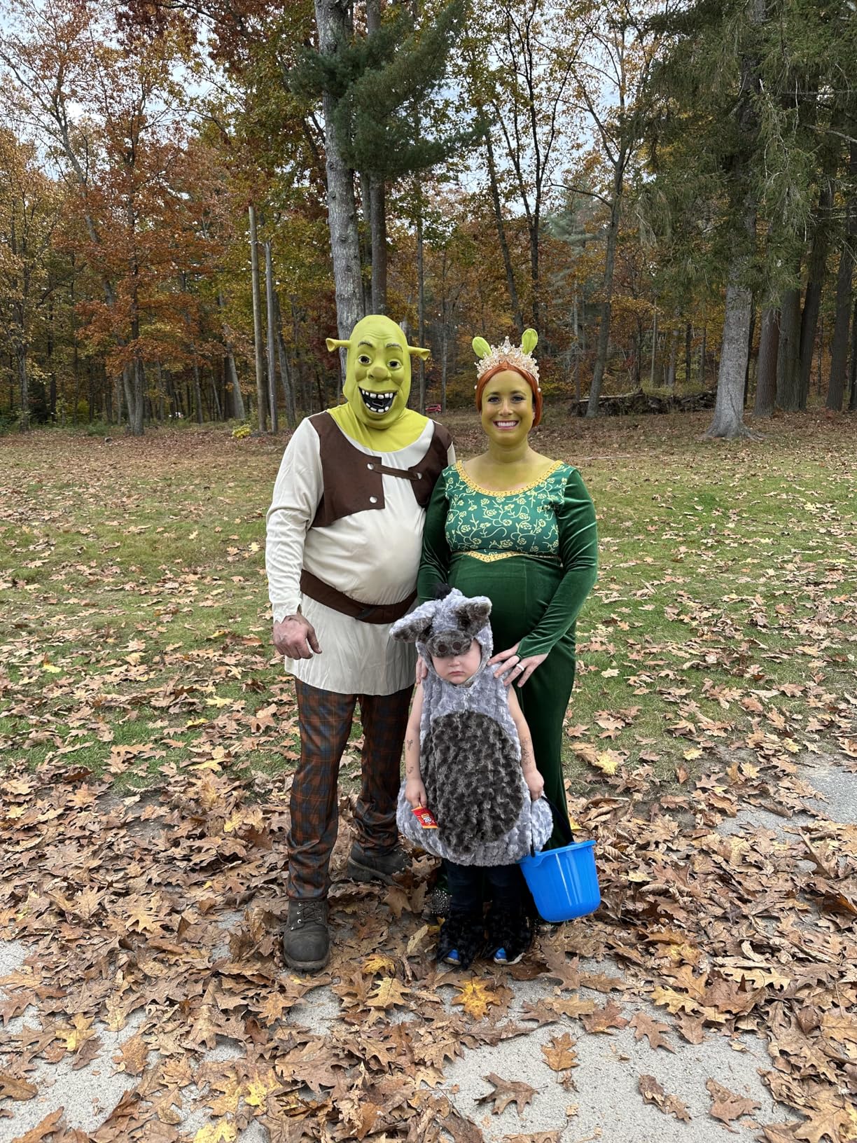 Amazon.com: Disguise Men's Shrek Costume, Movie Character Outfit, Ogre ...