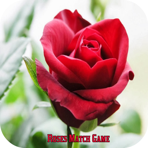 Roses Match Game - Free - App on Amazon Appstore
