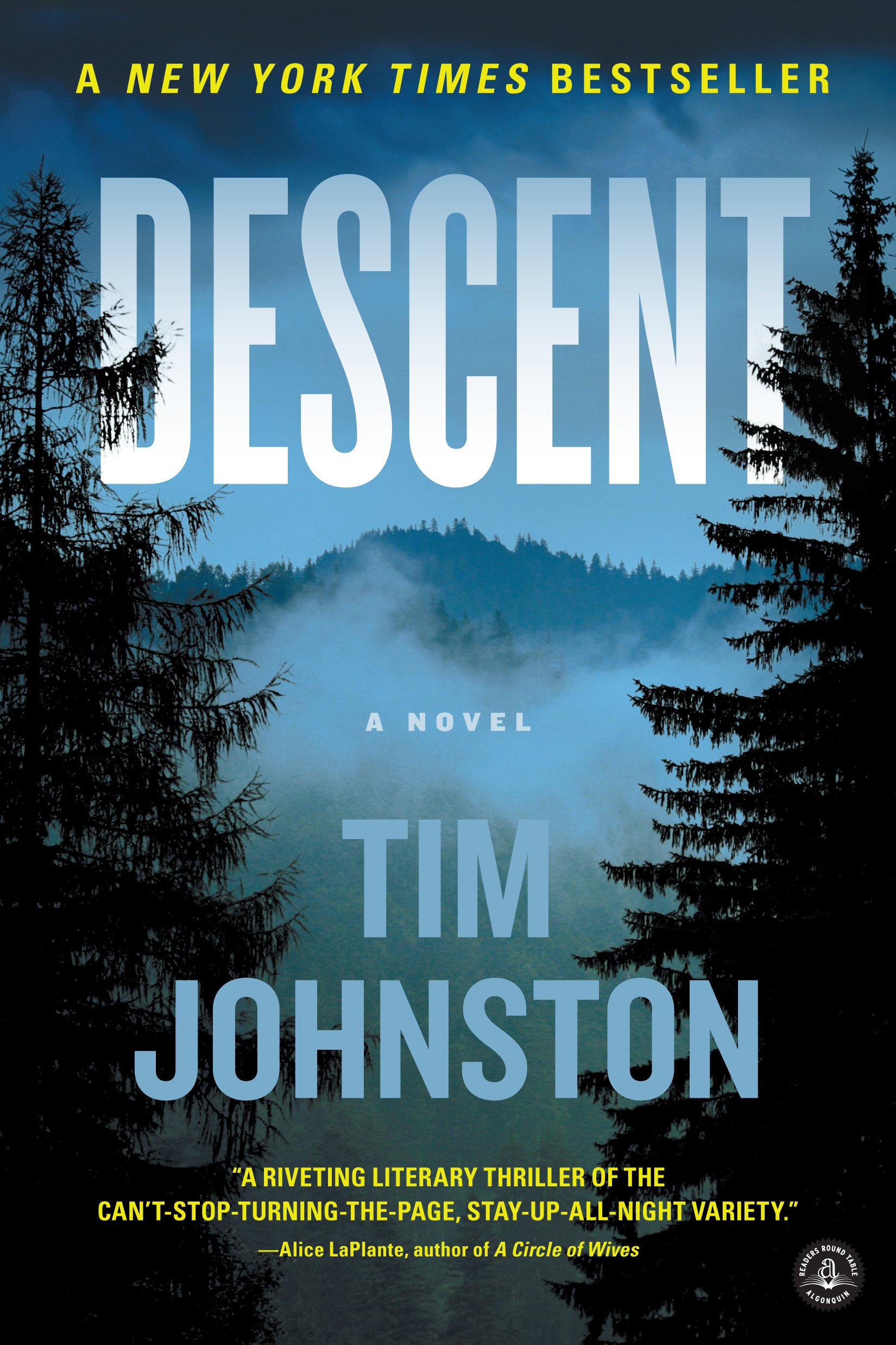 Amazon.com: Descent: A Novel: 9781616204778: Johnston, Tim: Books