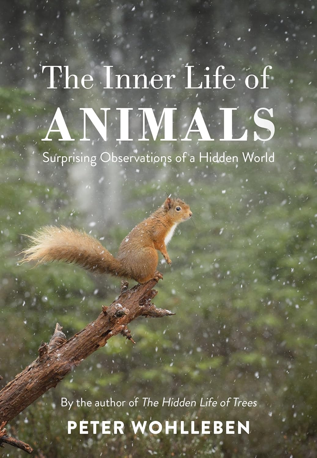 Buy The Inner Life of Animals: Surprising Observations of a Hidden ...