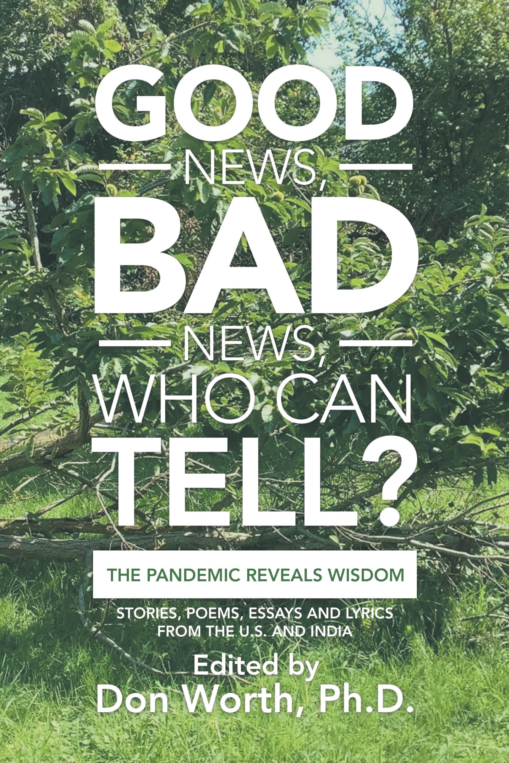 Good News, Bad News, Who Can Tell?: The Pandemic Reveals Wisdom: Worth ...