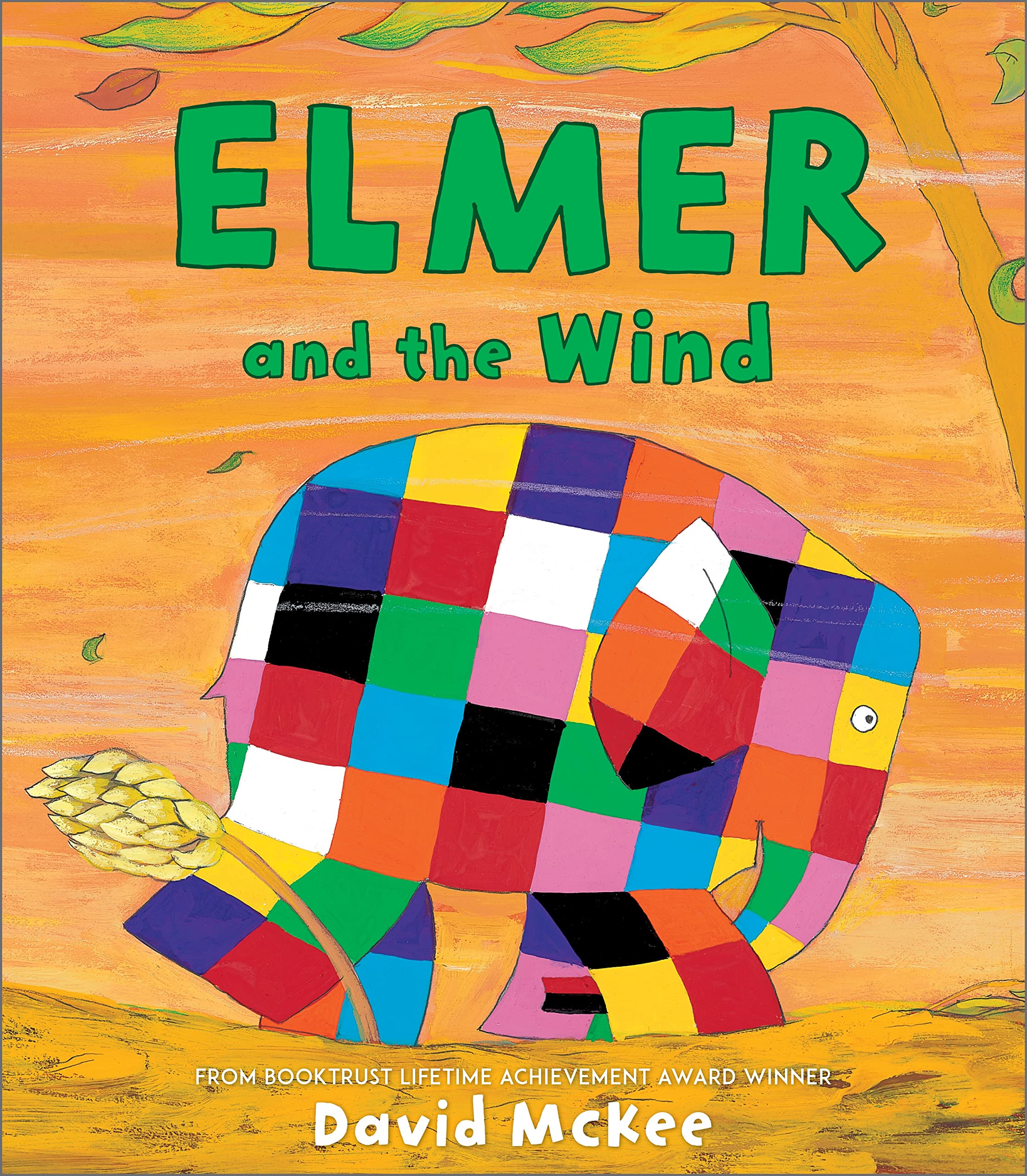 Elmer and the Wind (Elmer Picture Books): Amazon.co.uk: McKee, David ...