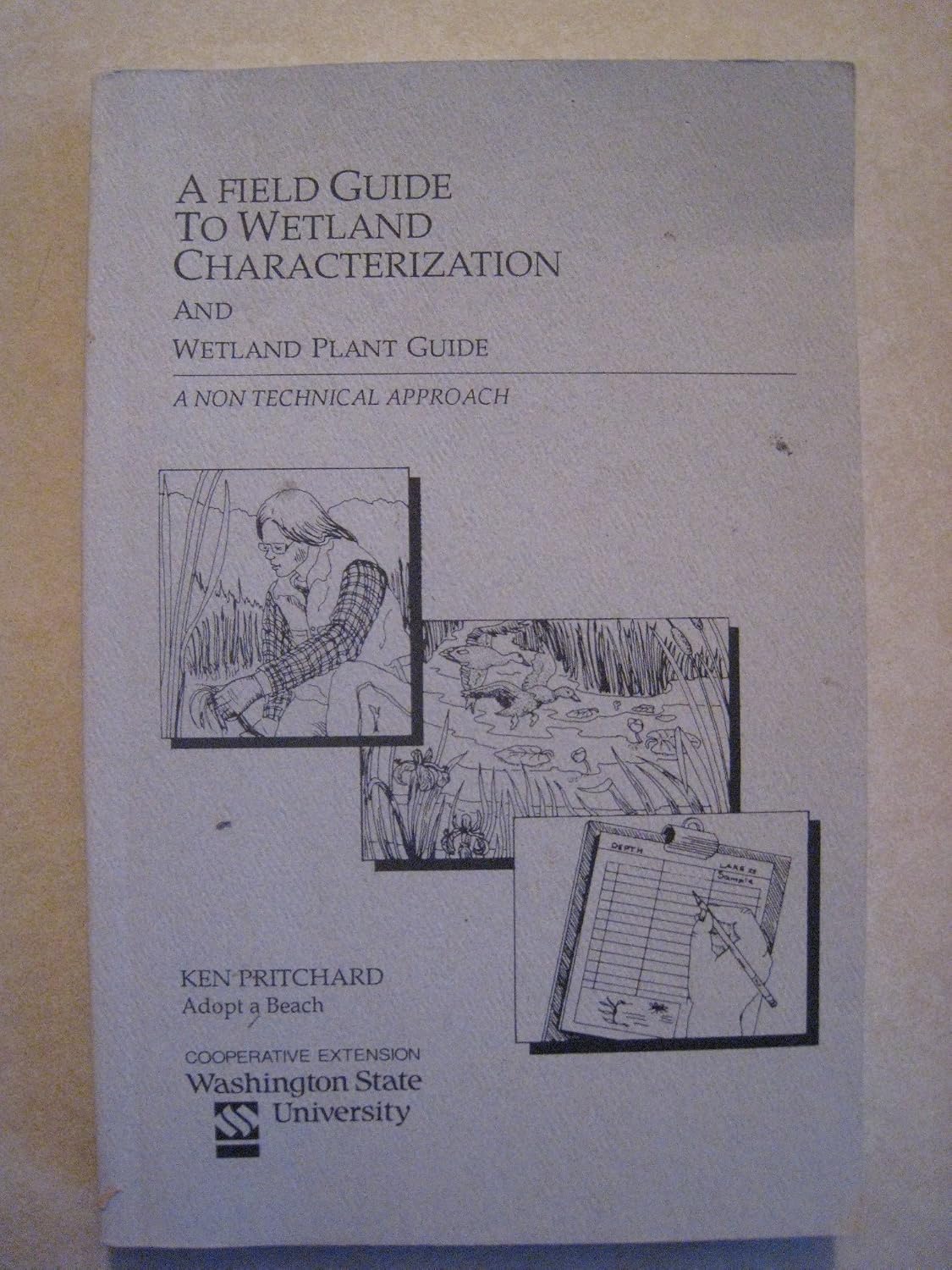 A field guide to wetland characterization and wetland plant guide: A ...
