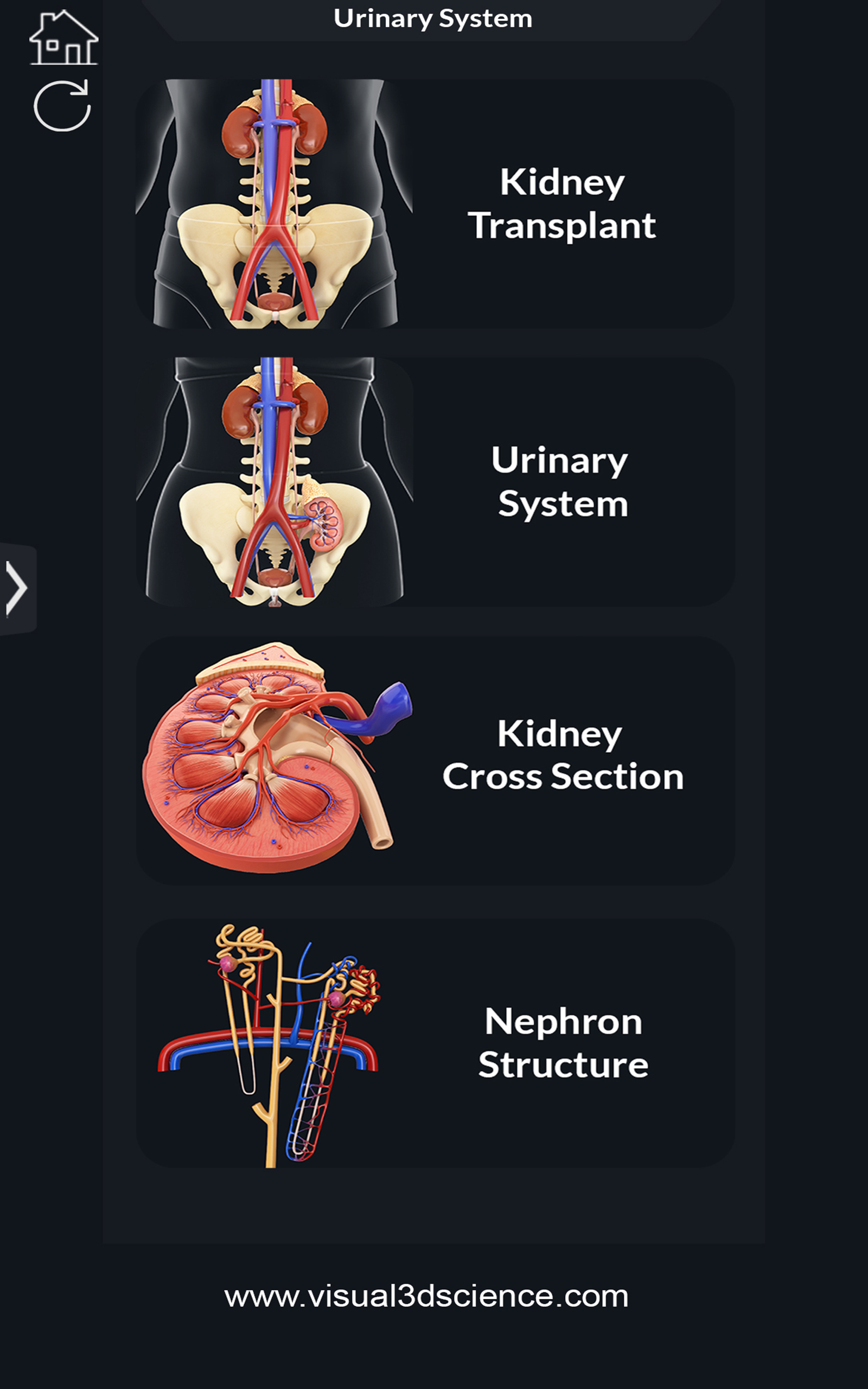 My Urinary System:Amazon.co.uk:Appstore for Android