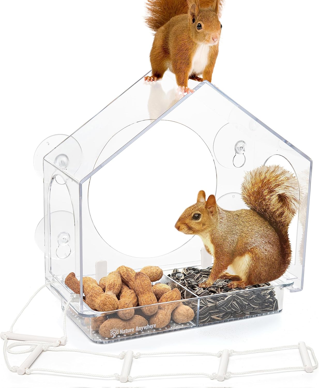 Amazon.com: Window Squirrel Feeder - Funny Chipmunk Feeder - Easy to ...