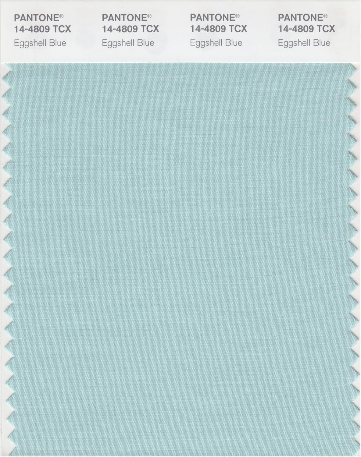 PANTONE SMART 14-4809X Color Swatch Card, Eggshell Blue - House Paint ...