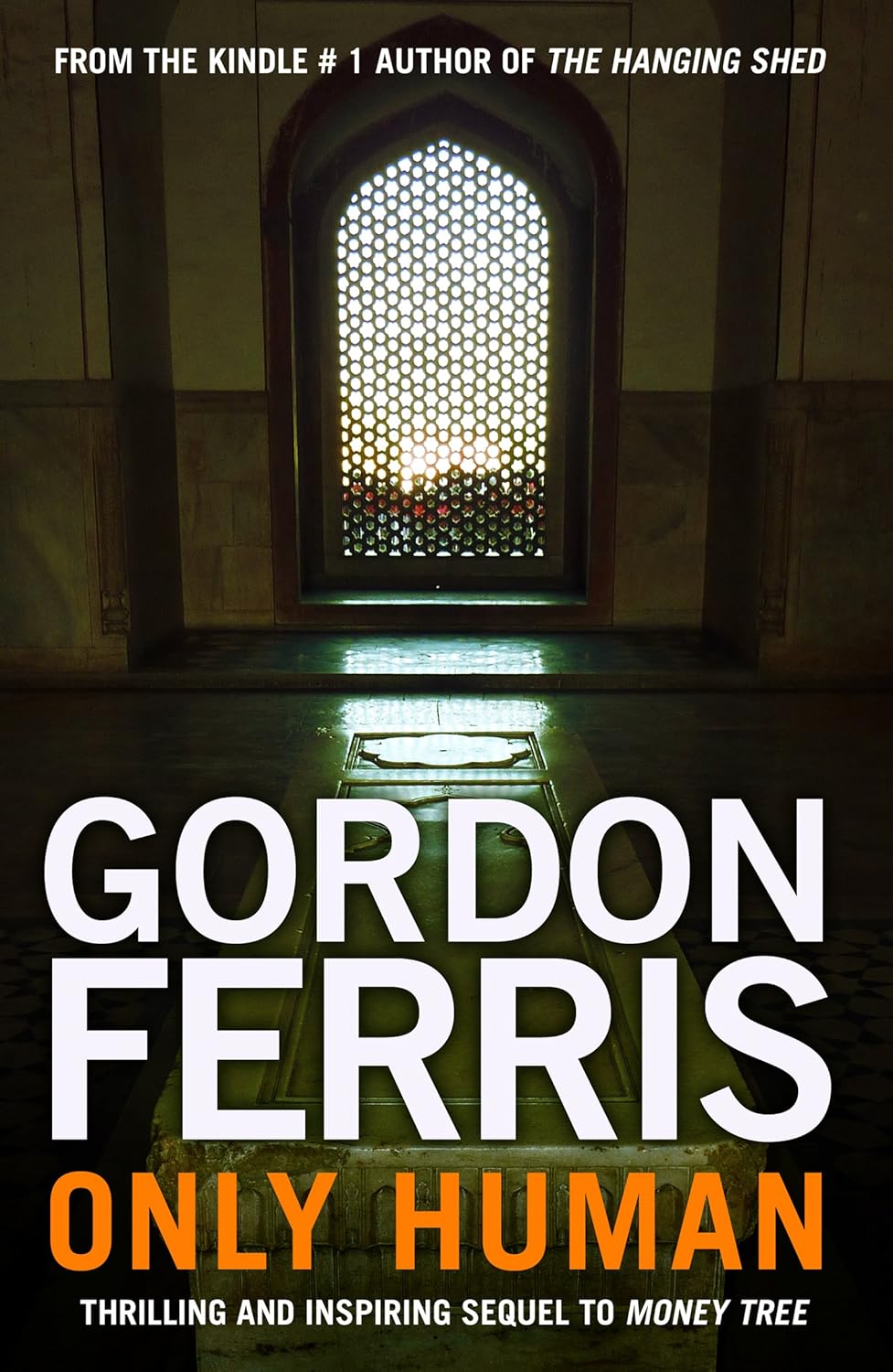 Amazon.com: ONLY HUMAN (Money Tree Book 1) eBook : Ferris, Gordon ...