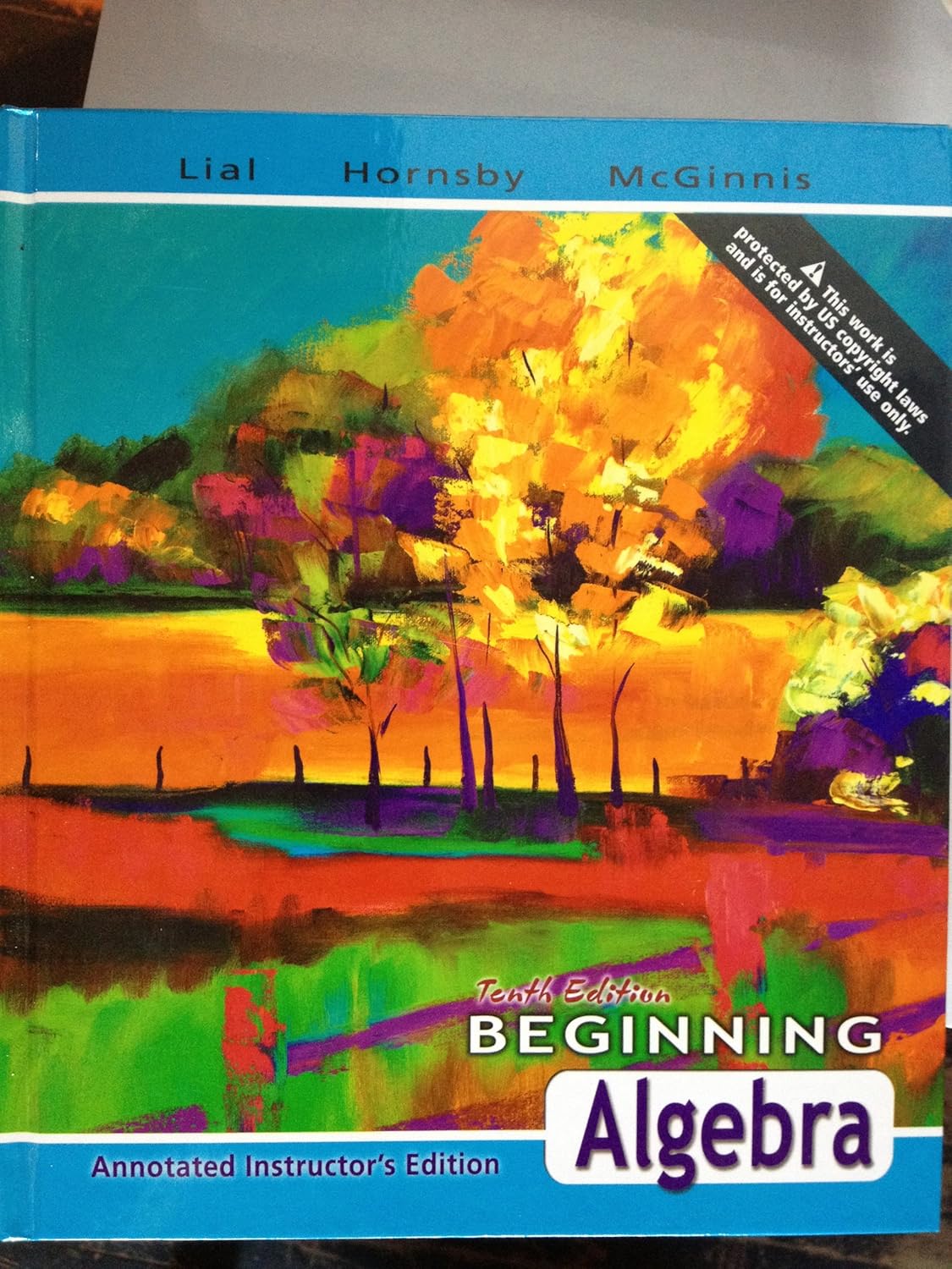 Beginning Algebra - Annotated Instructor's Edition, 10th Edition: Lial ...