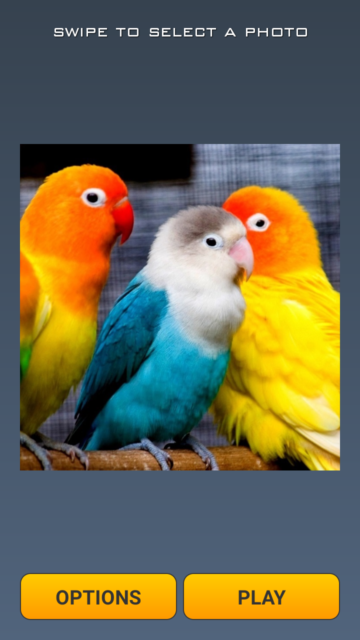 Cute Birds Puzzle - App on Amazon Appstore