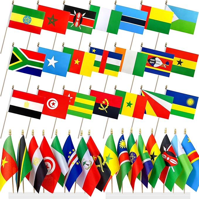 Amazon.com: LoveVC 54 Pack Africa African Countries Flags Set on Wood ...