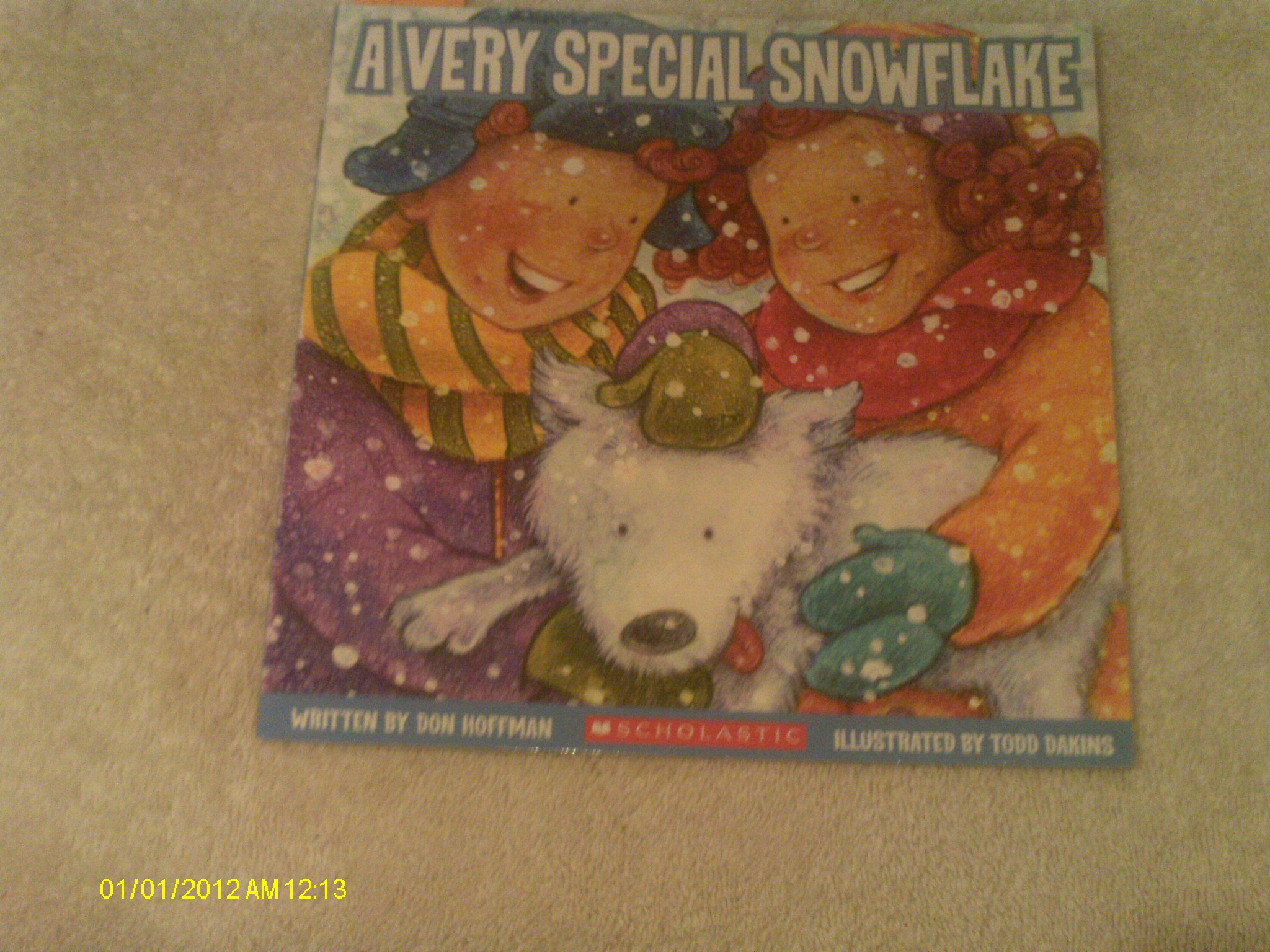 A Very Special Snowflake: Hoffman, Don, Dakins, Todd: 9780439901116 ...