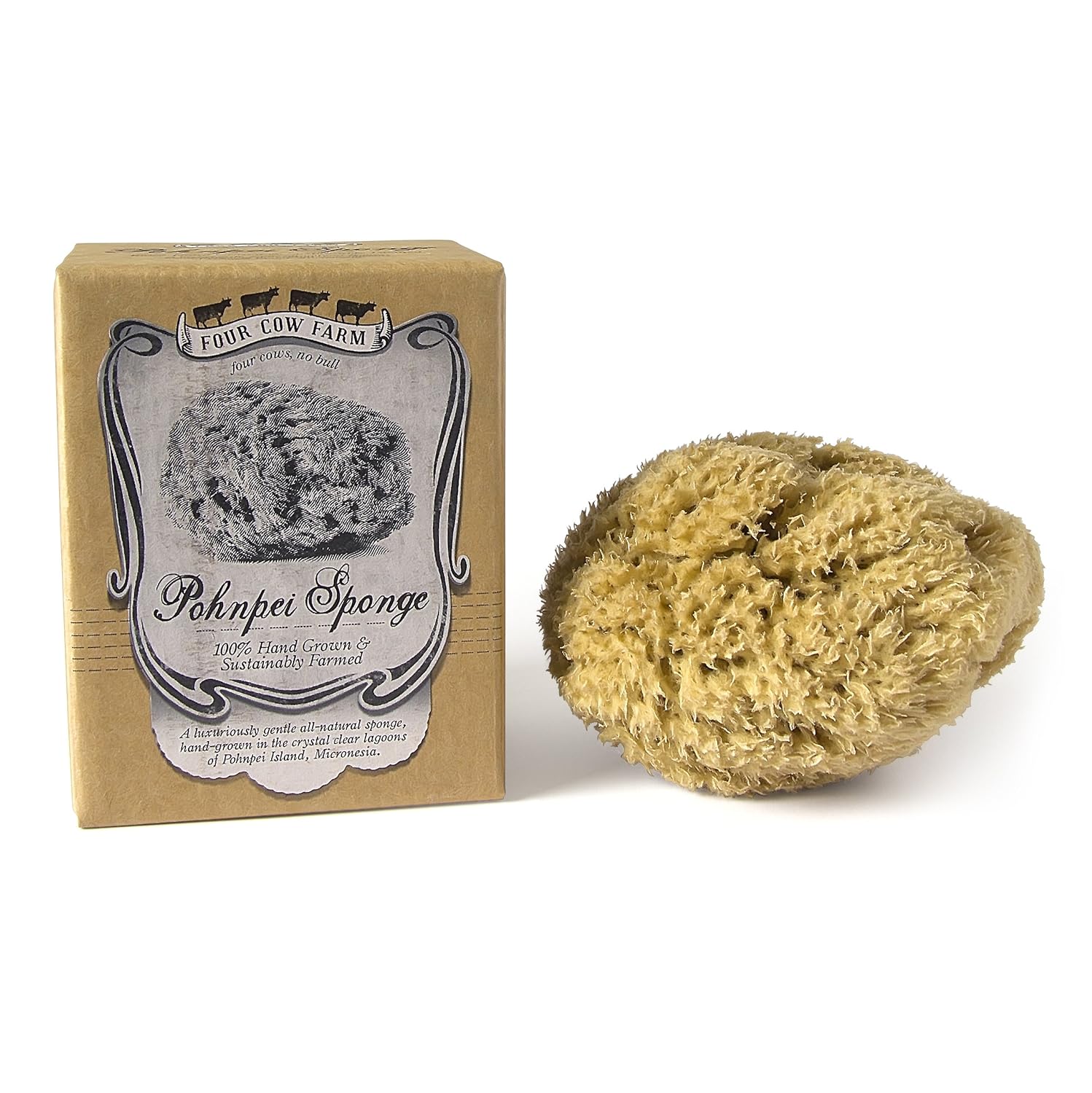 Amazon.com : Four Cow Farm Pohnpei Sponge : Health & Household
