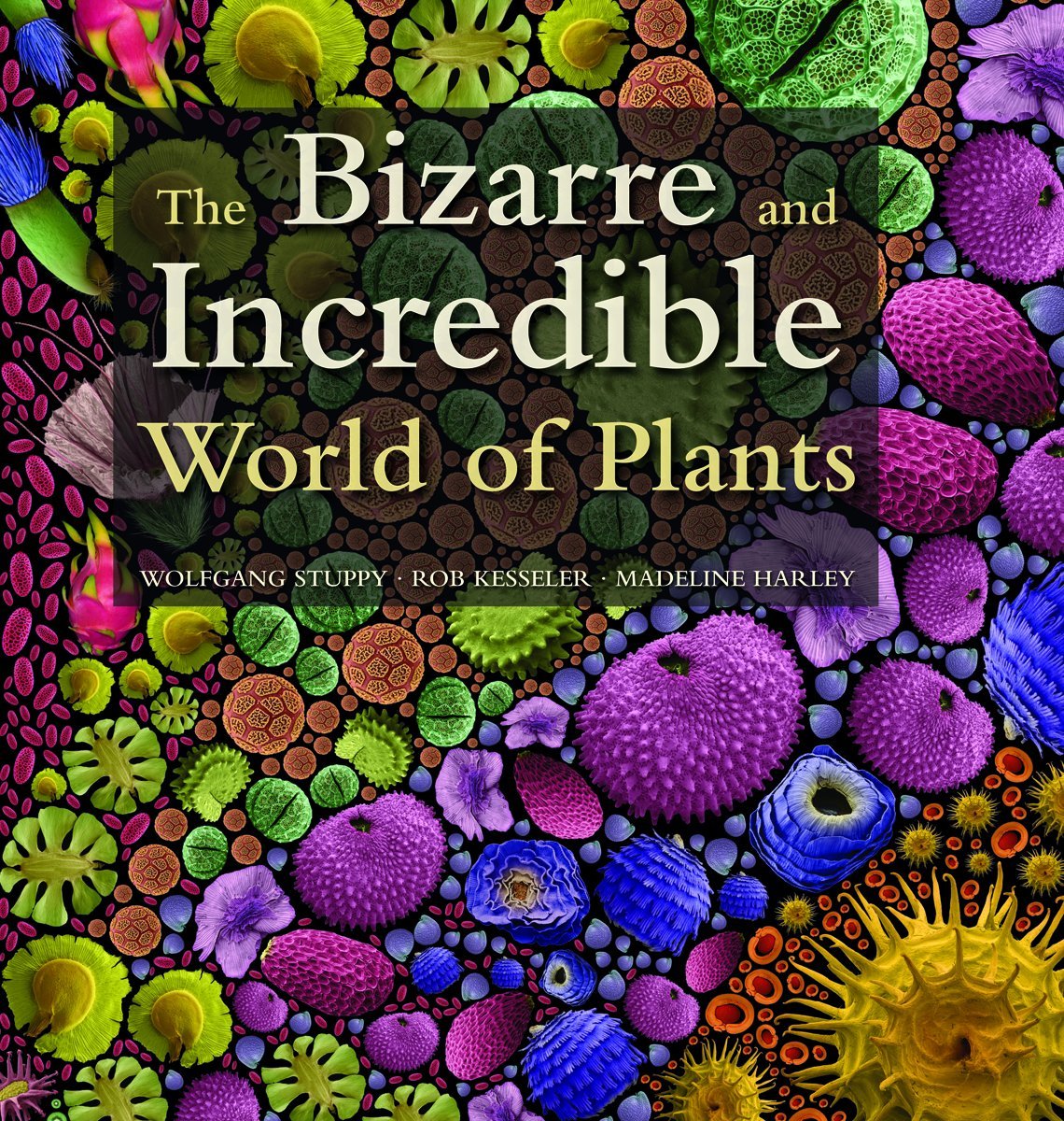 The Bizarre and Incredible World of Plants: Stuppy, Wolfgang, Kesseler ...