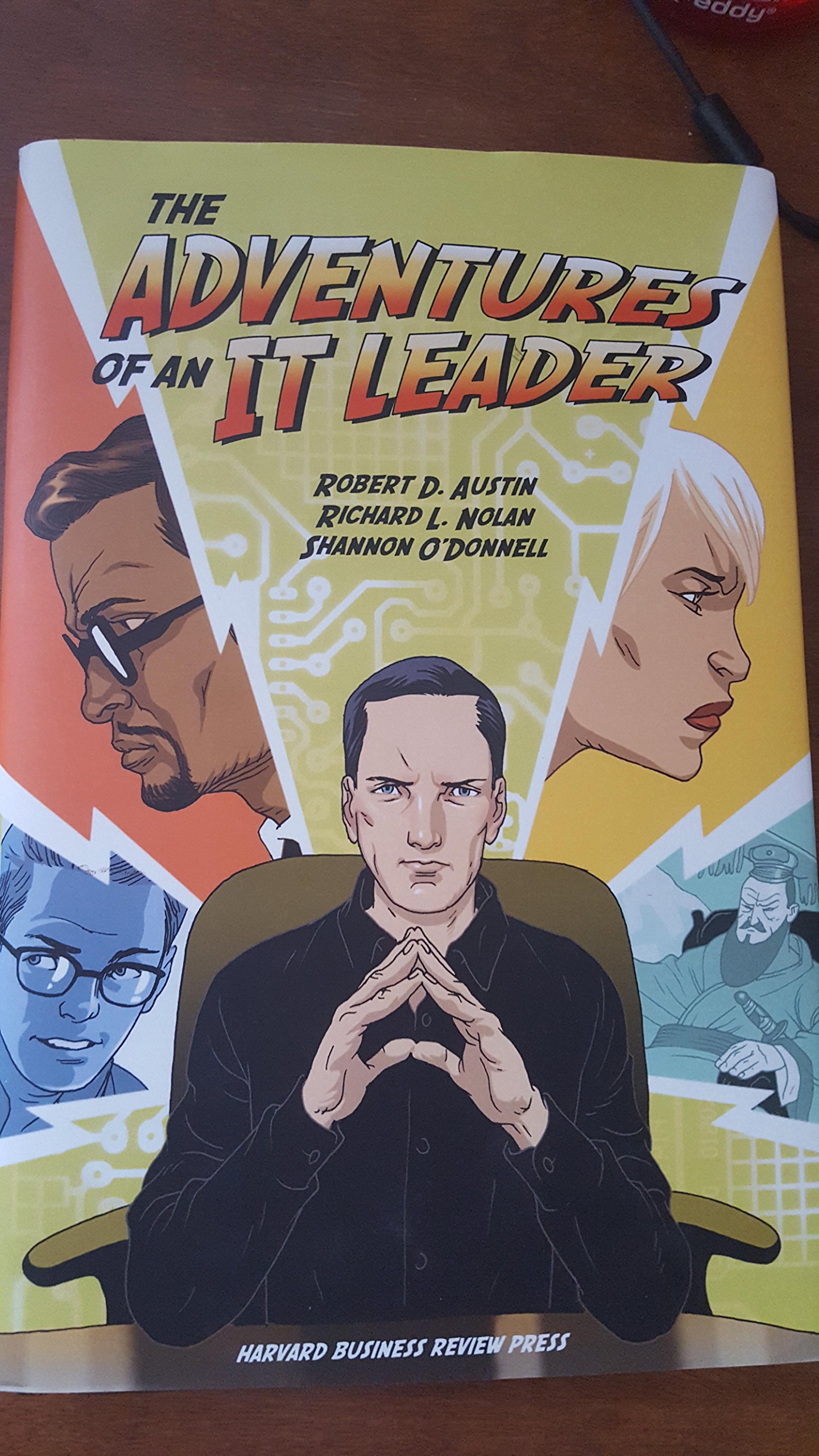 Amazon.com: Adventures of an IT Leader: 9781422146606: Austin, Robert D ...