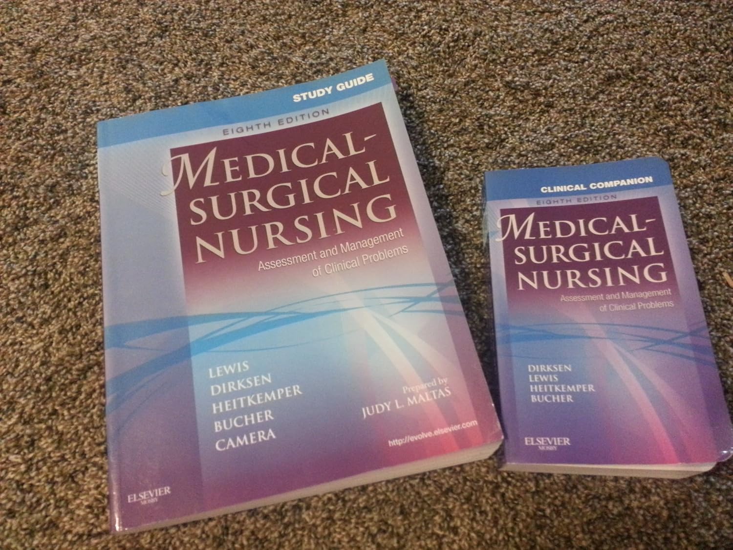 Medical surgical nursing workbook: Dirksen Camera Lewis: 9780323066549 ...