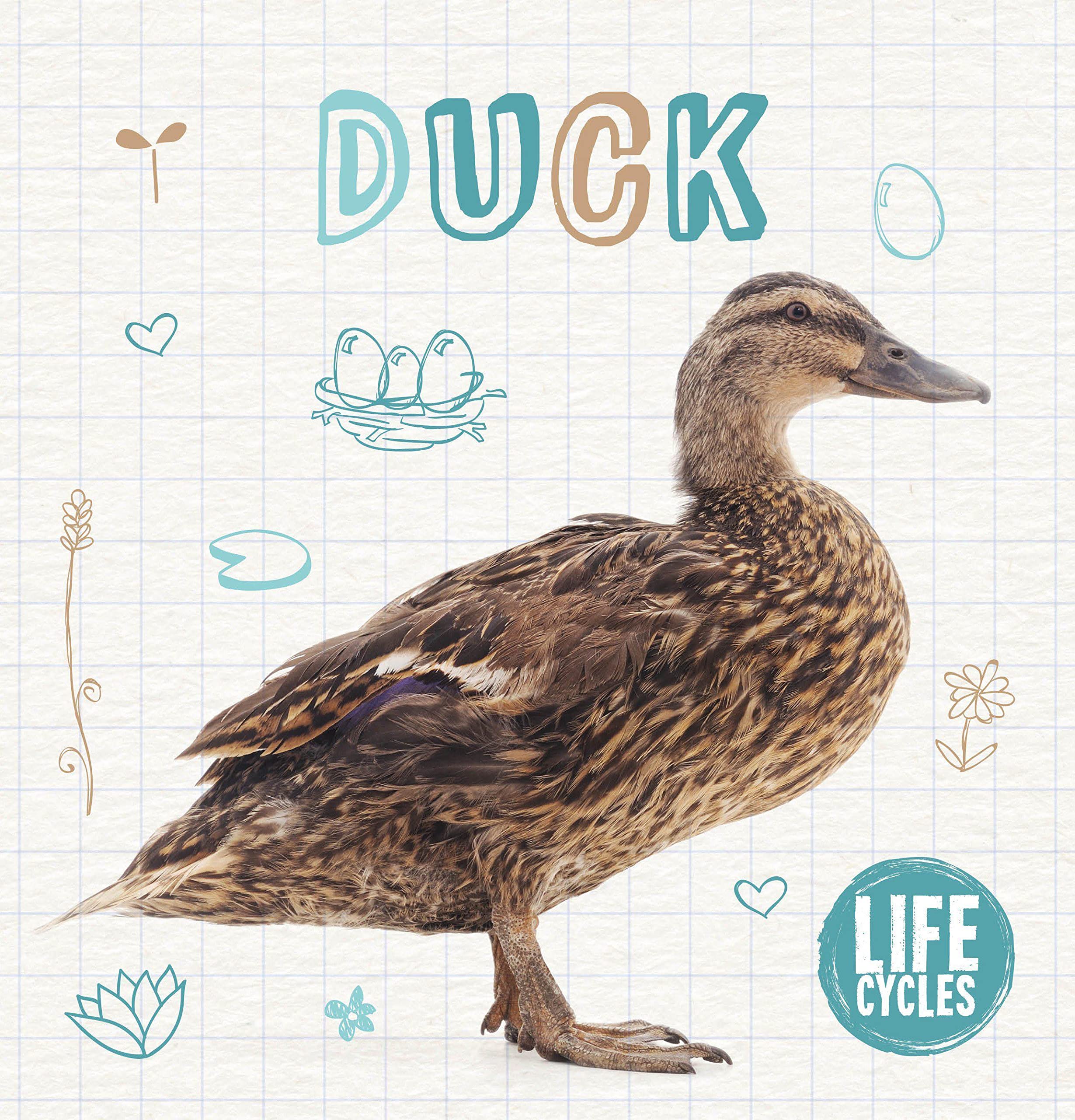 Duck (Life Cycles): Amazon.co.uk: Shalini Vallepur: 9781786377333: Books
