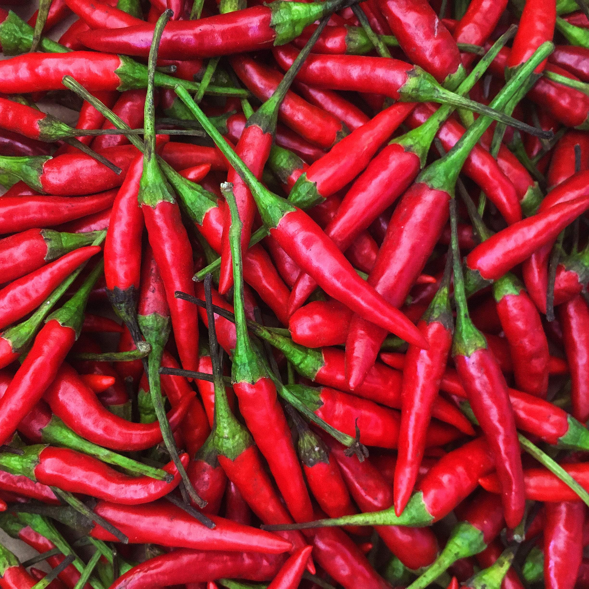 Amazon.com: Fresh Red Fresno Chile Peppers 1 lb. : Grocery & Gourmet Food