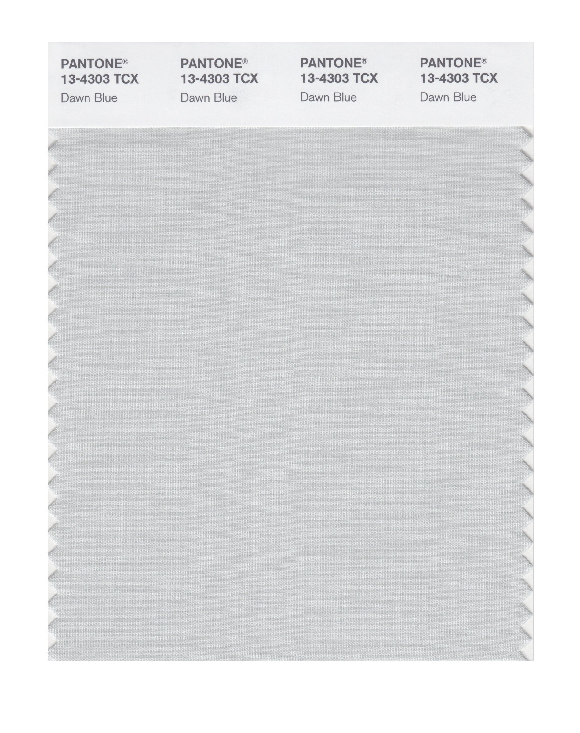 PANTONE Smart 13-4303X Color Swatch Card, Dawn Blue - Wall Decor ...