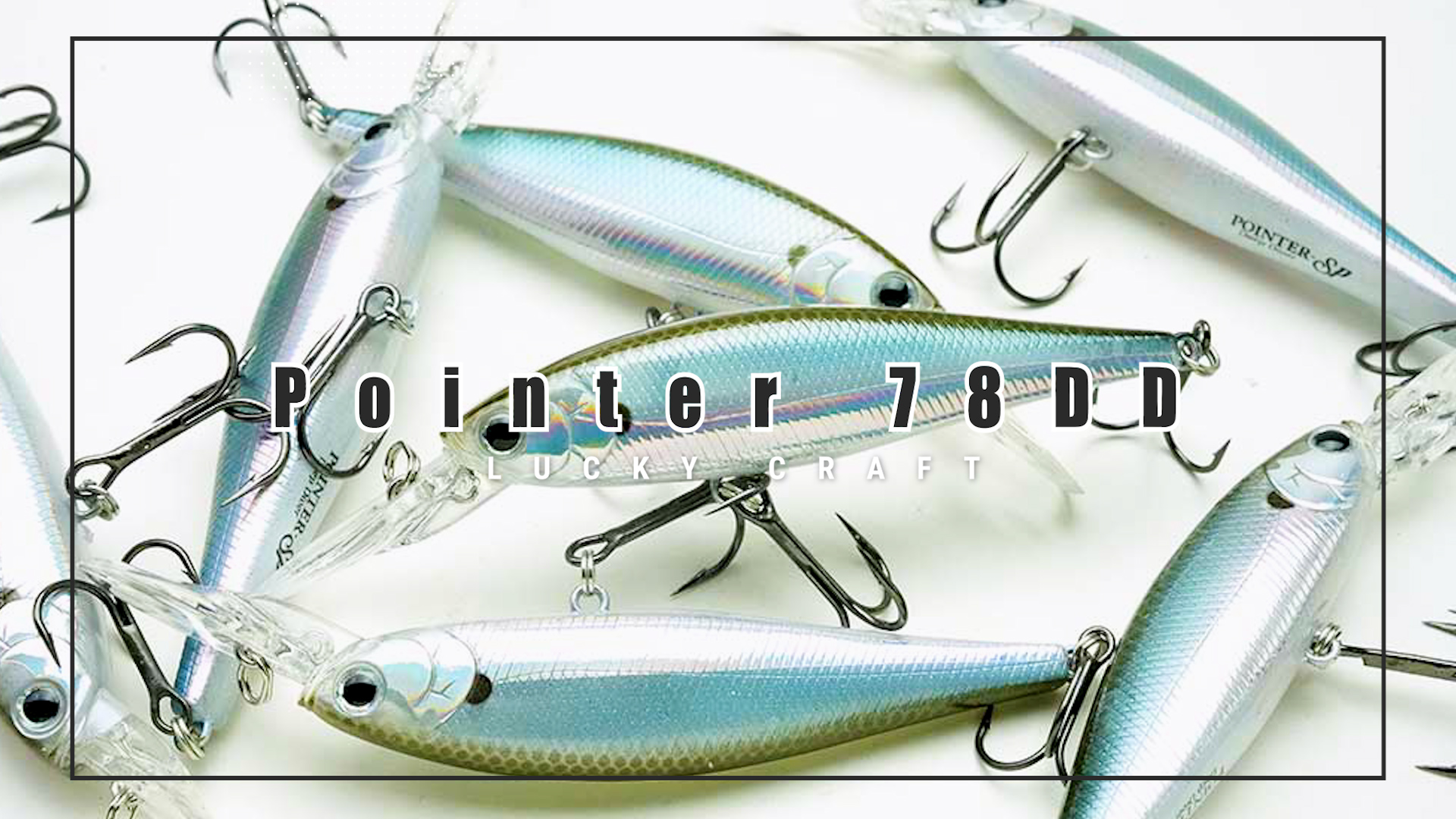 Watch Pointer 78DD Action on Amazon Live
