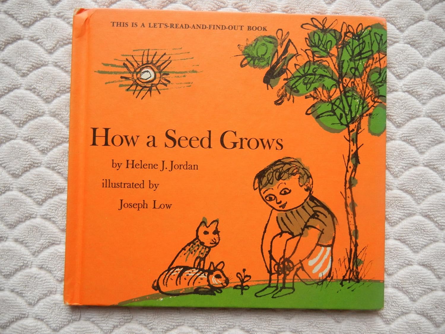 How a Seed Grows: Books - Amazon.ca