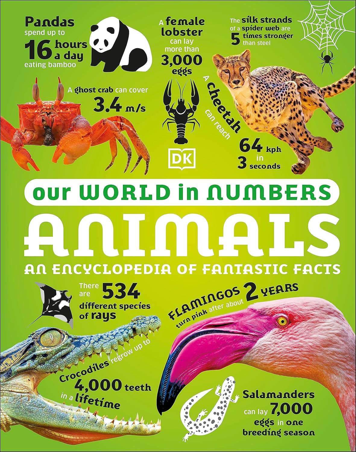 Our World in Numbers Animals: An Encyclopedia of Fantastic Facts (DK ...