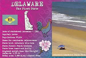 Amazon.com : STATES03DEL DELAWARE SEASHORE STATE PARK - The First State ...