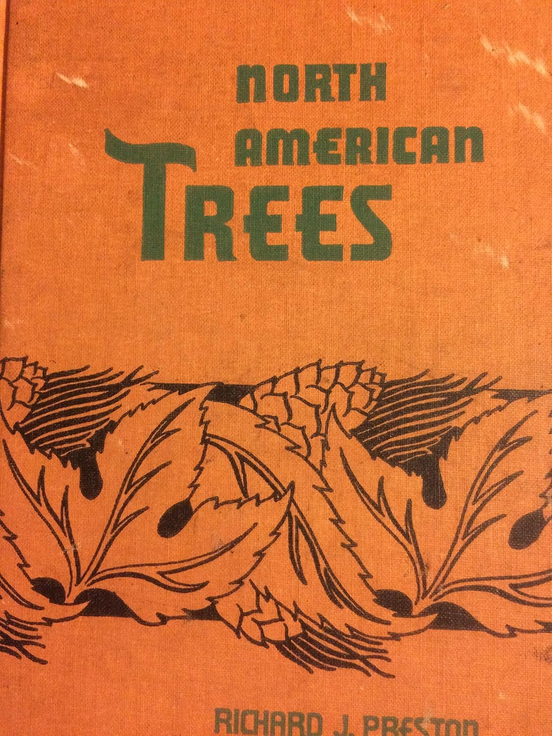 NORTH AMERICAN TREES Exclusive Of Mexico And Tropical United States north-american-trees-exclusive-of-mexico-and-tropical-united-states
