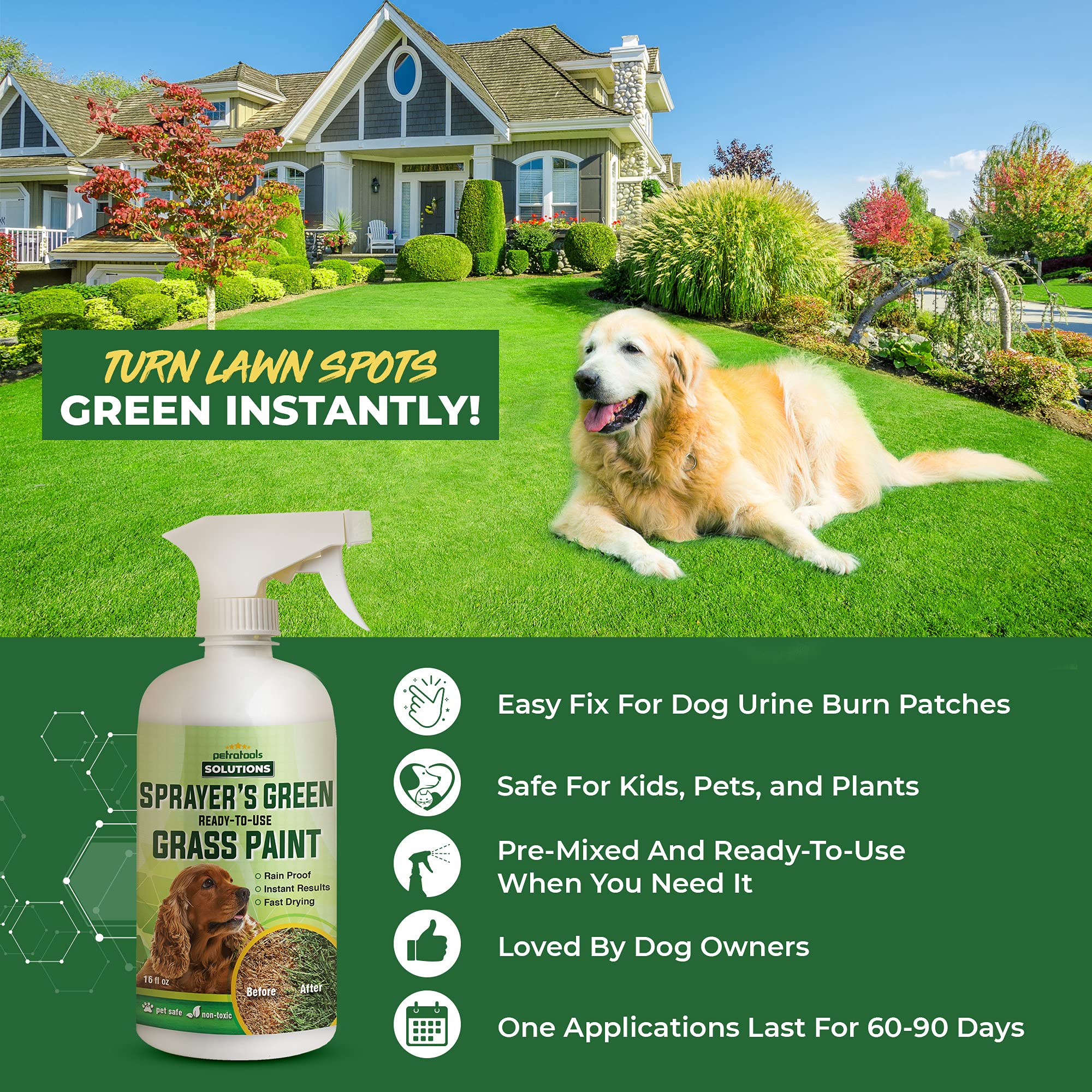 Snapklik.com : PetraMax Green Grass Paint For Lawn, Ready-to-Use Green ...