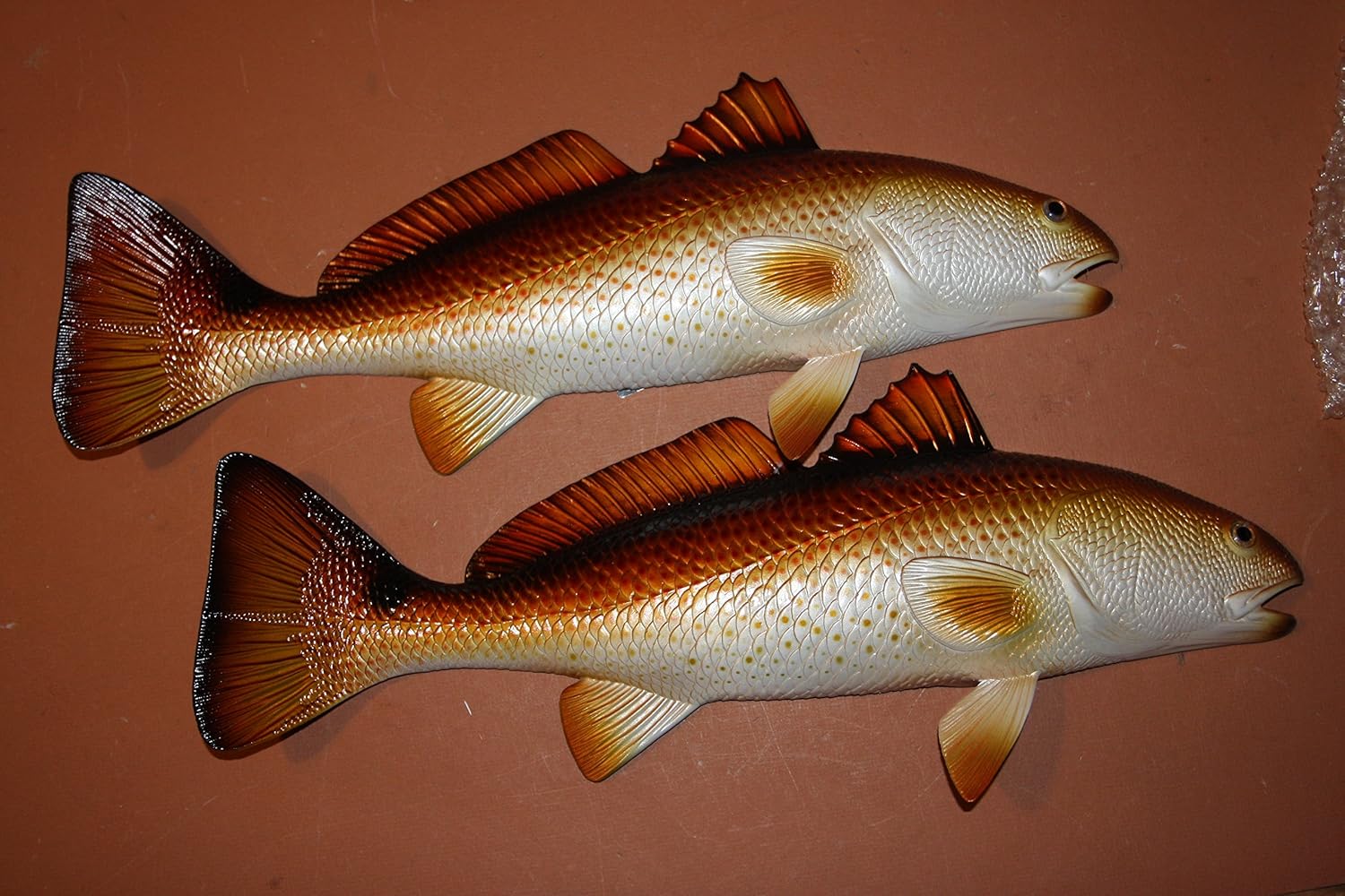 Amazon.com: Tropical Coral Reef Sea Life Wall Hangings Redfish Trophy ...