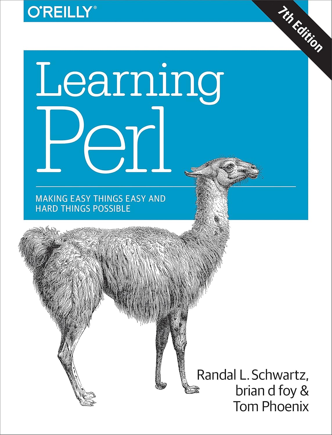 Learning Perl: Making Easy Things Easy and Hard Things Possible: Schwartz, Randal L., foy, brian ...
