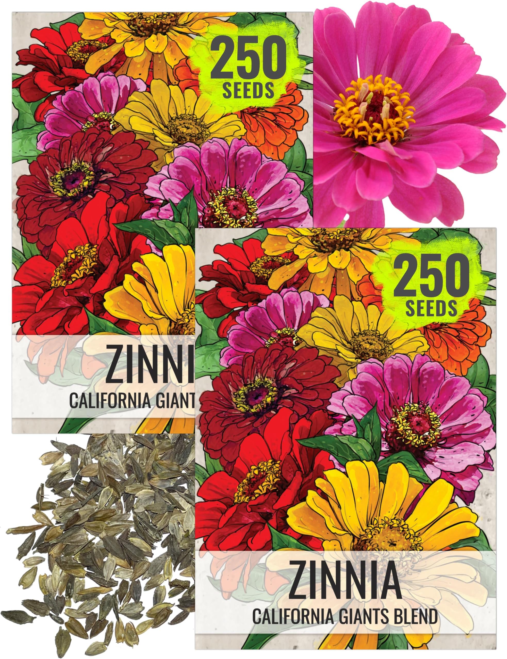 Amazon.com : Set of 7 Classic Cottage Garden Seed Collection – Grow ...