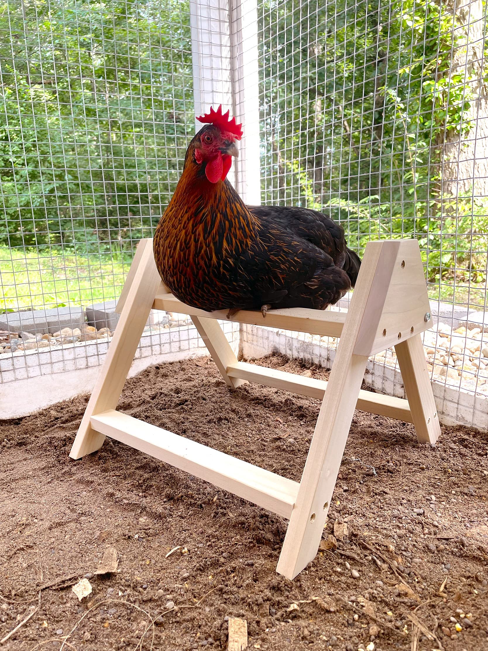Open Bottom Chicken Coops Roost