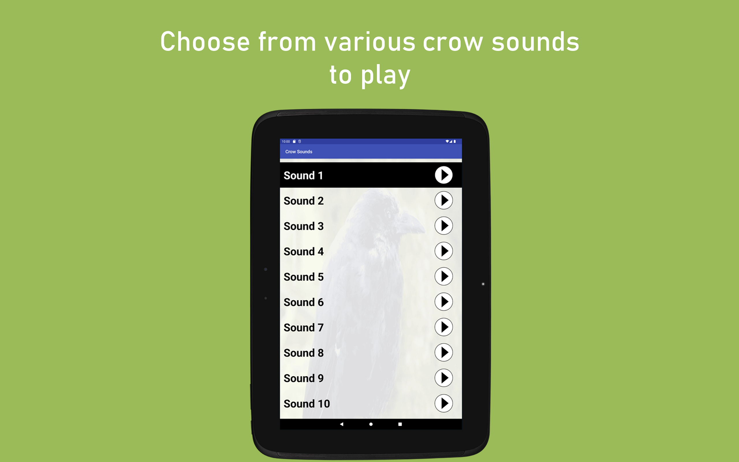 Crow Sounds:Amazon.com:Appstore for Android
