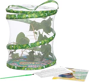 Living Twig Stick Insect Kit sent with Eggs : Amazon.co.uk: Toys & Games