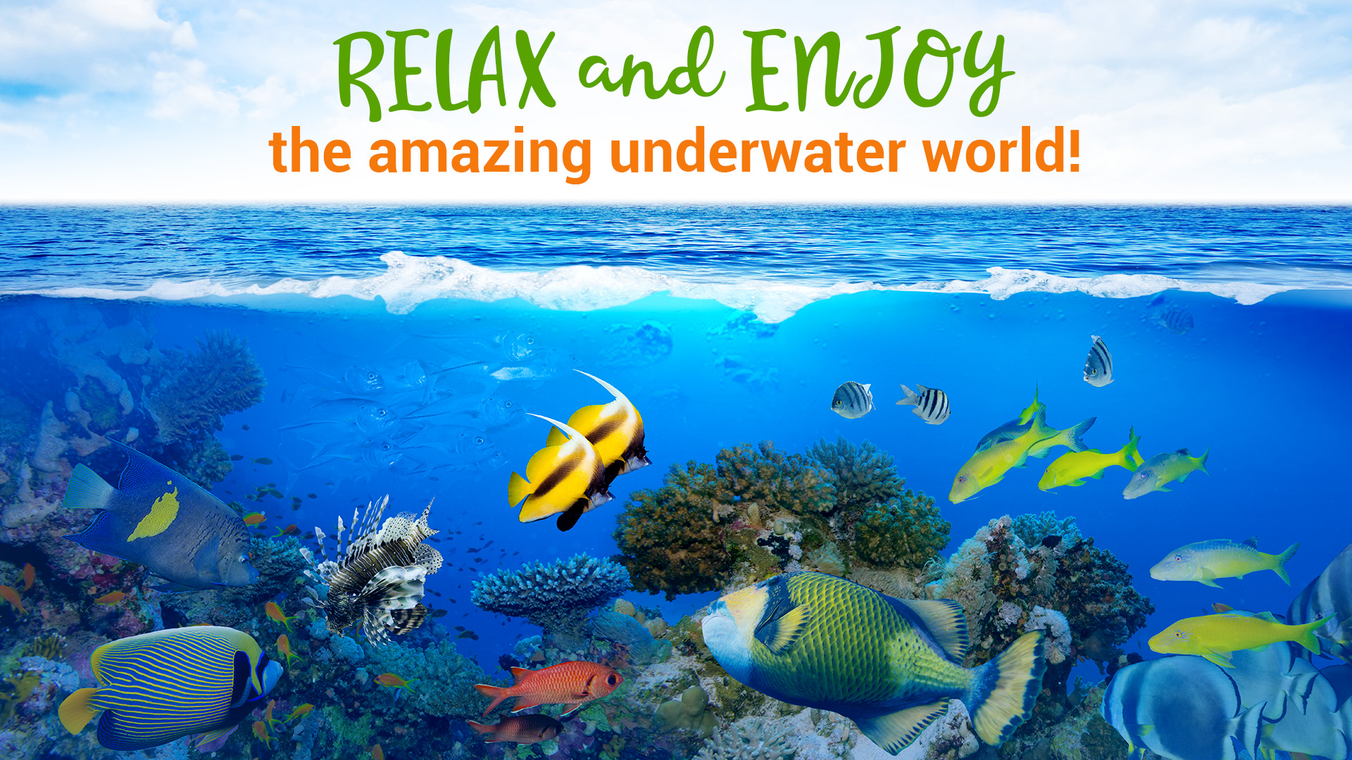 Calm Sea Life - Aquarium & Underwater relax videos in 4K UHD - App on ...