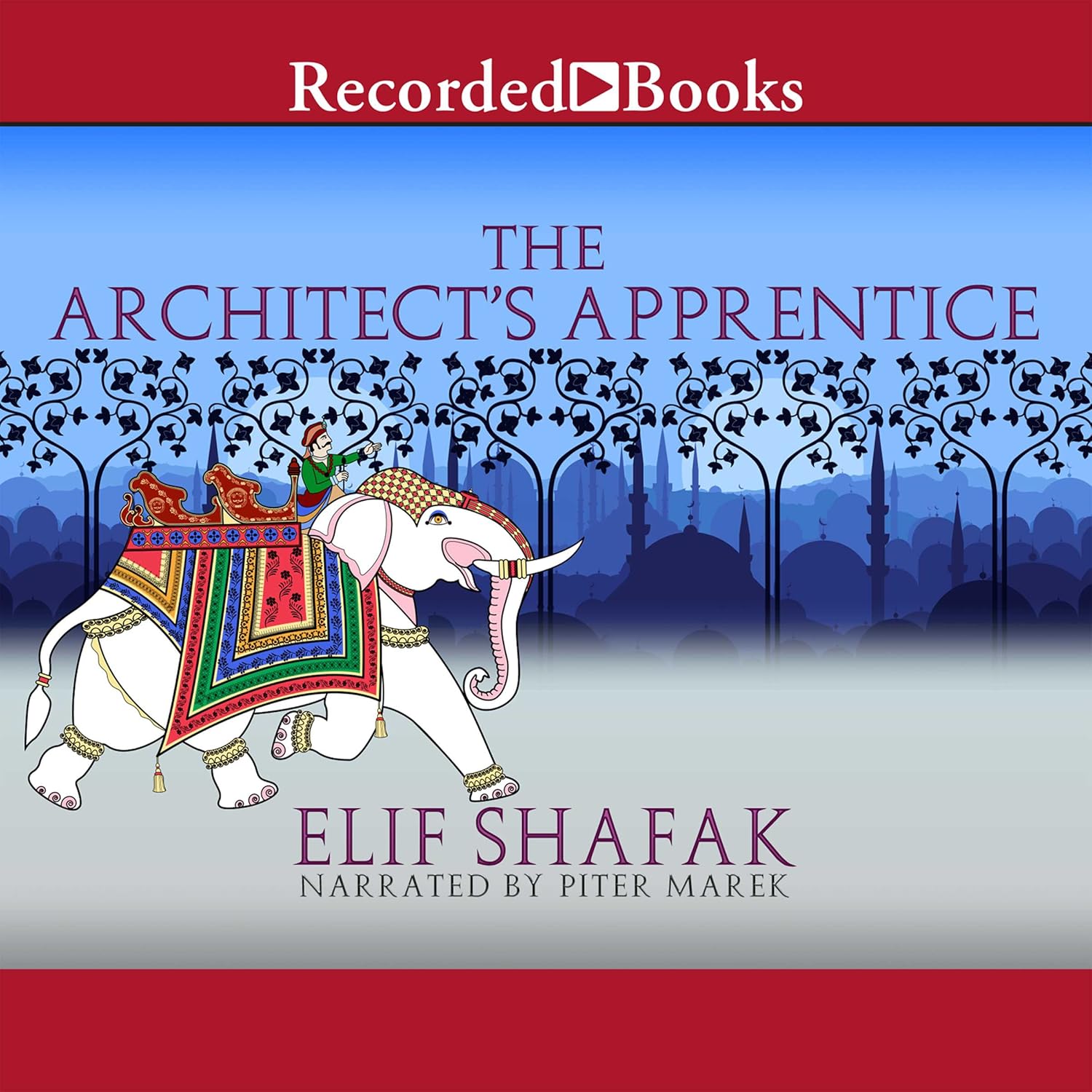 Amazon.com: The Architect's Apprentice (Audible Audio Edition): Elif ...