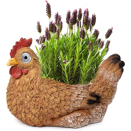 Amazon.com : CTW Home Collection Large Hen Planter : Patio, Lawn & Garden