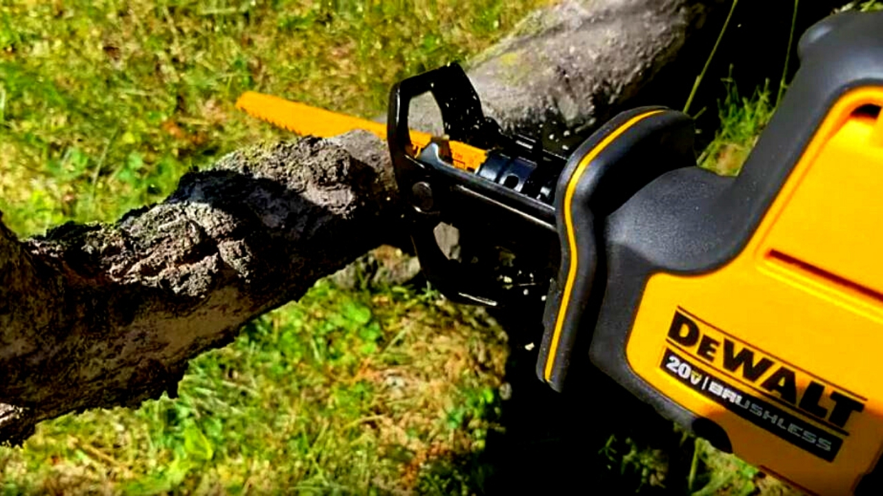 Watch DEWALT Atomic 20v One-Handed Compact Reciprocating Saw on Amazon Live