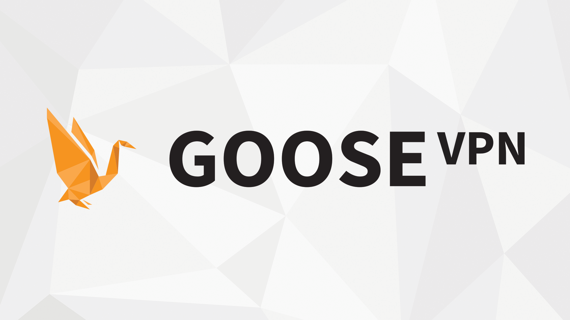 GOOSE VPN - App on the Amazon Appstore