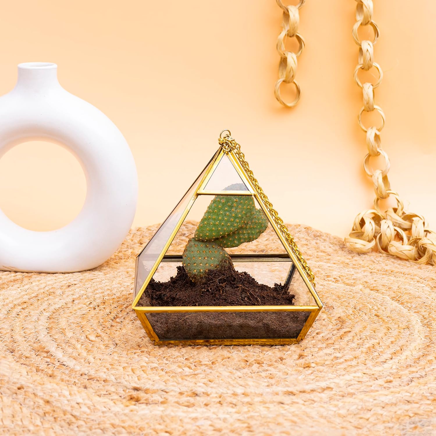 Kyari Dainty Glass Terrarium Pot, Hanging Terrarium, Golden Framed ...