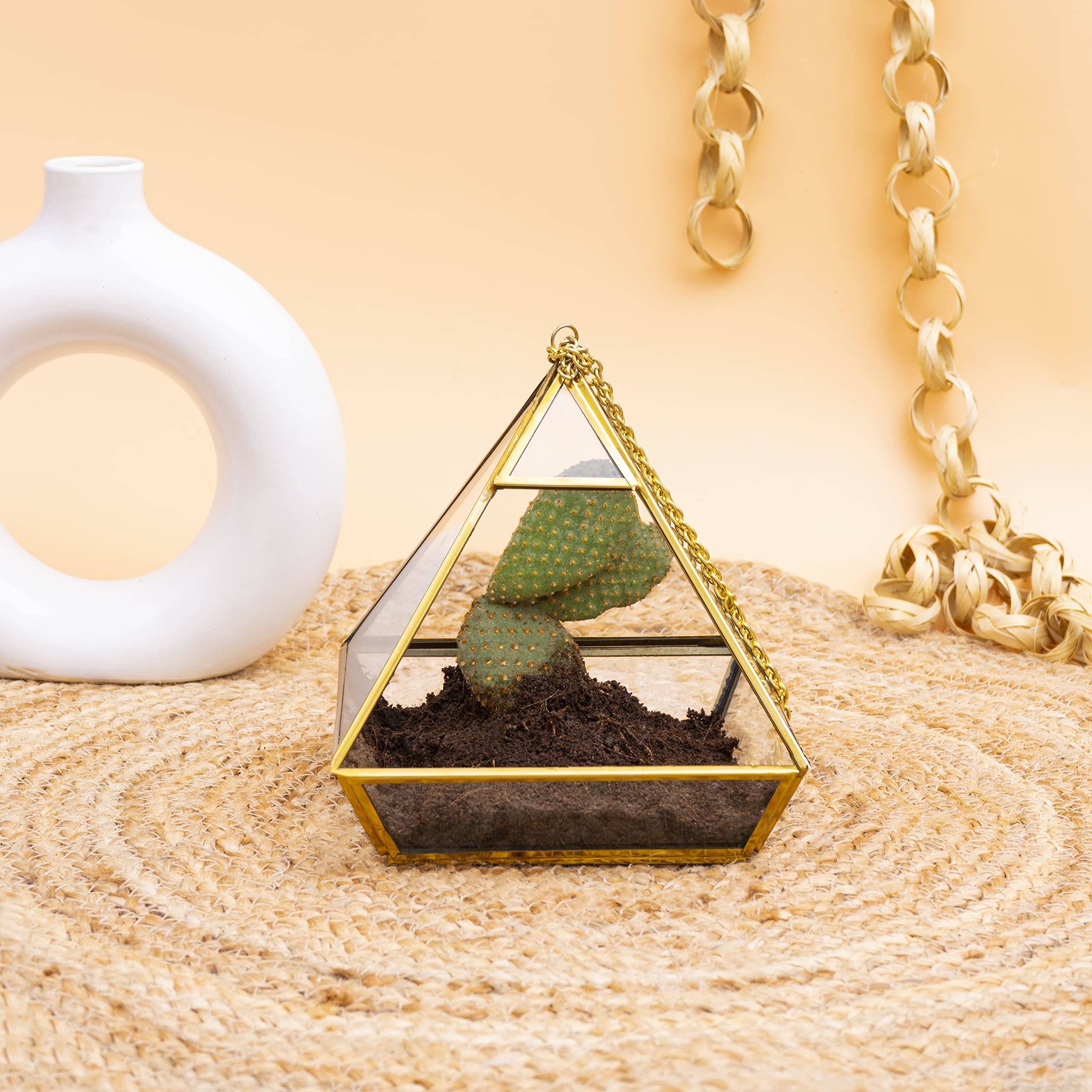 Kyari Dainty Glass Terrarium Pot, Hanging Terrarium, Golden Framed ...