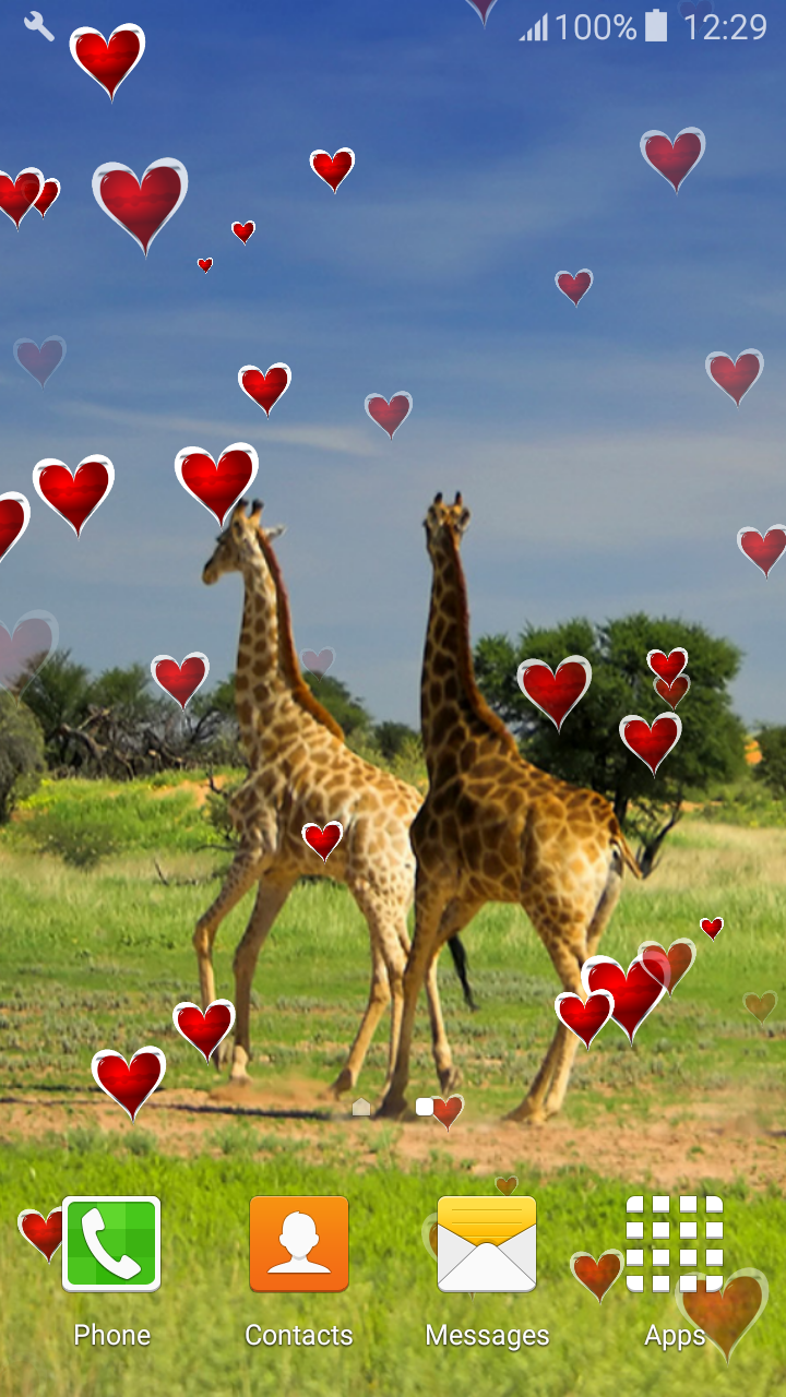 Giraffe Live Wallpapers - App on Amazon Appstore
