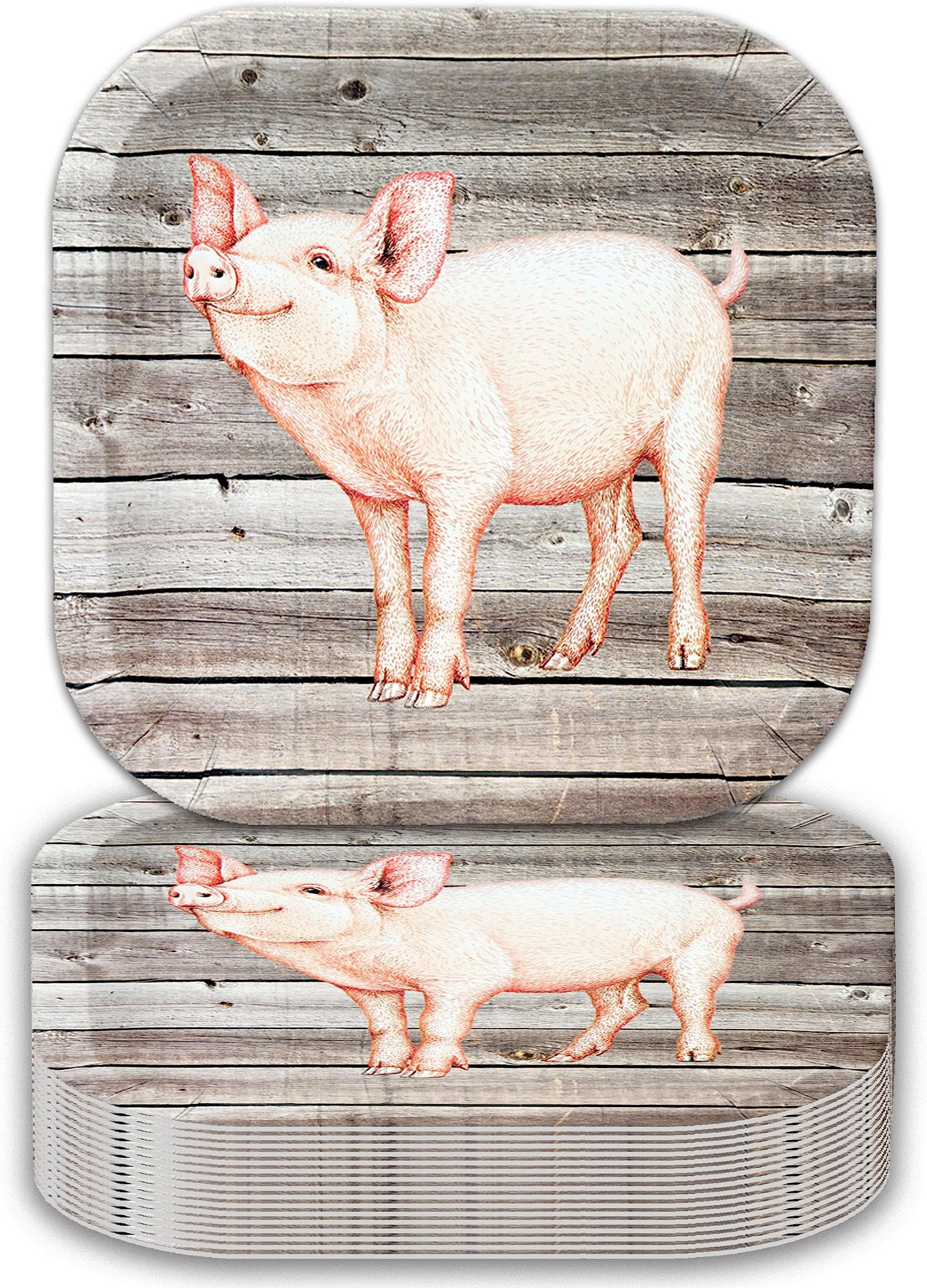 Amazon.com: Meri Meri On The Farm Pig Plates : Toys & Games
