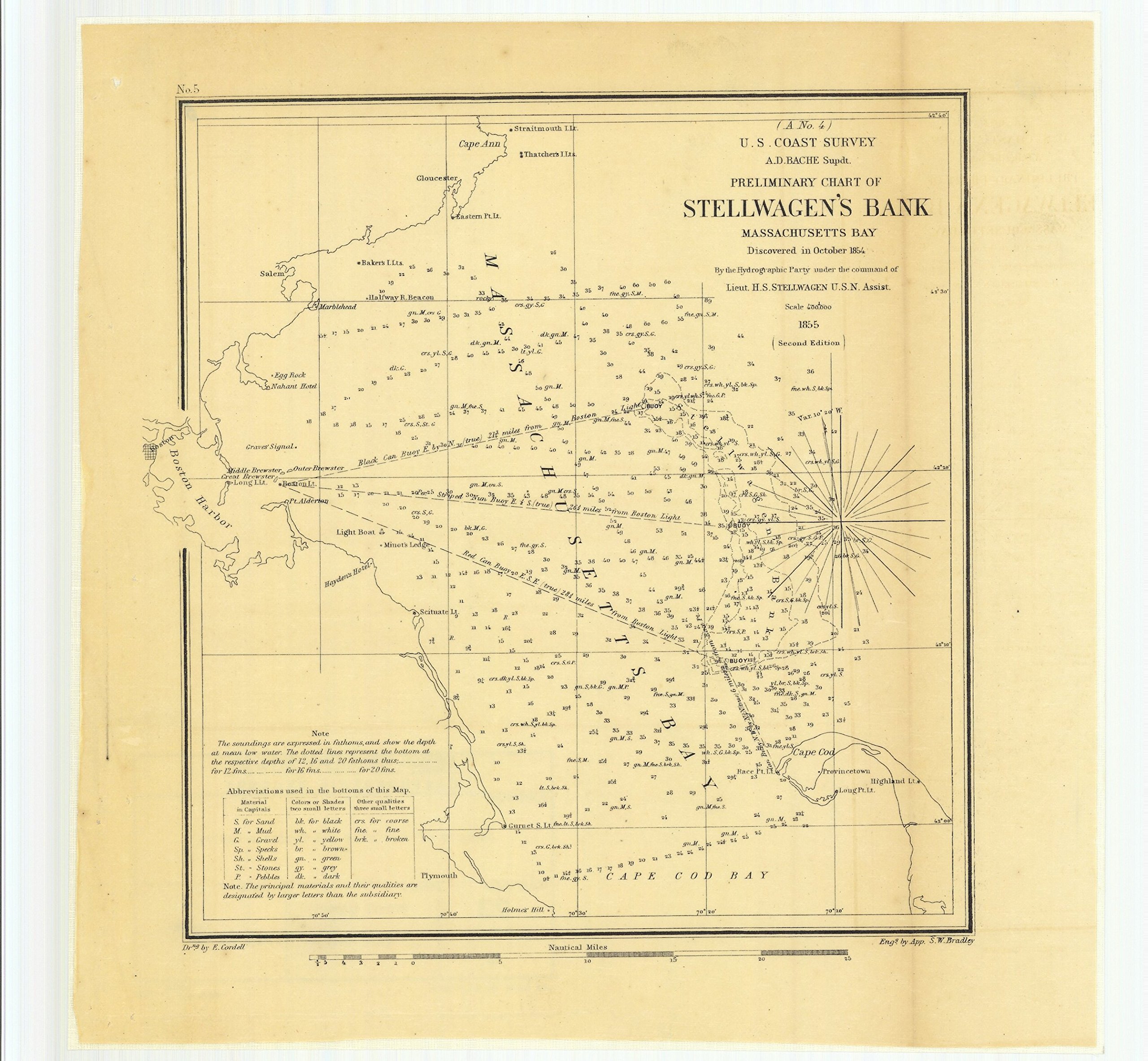 Buy Vintography 8 x 12 inch 1855 US Old Nautical Drawing Chart ...